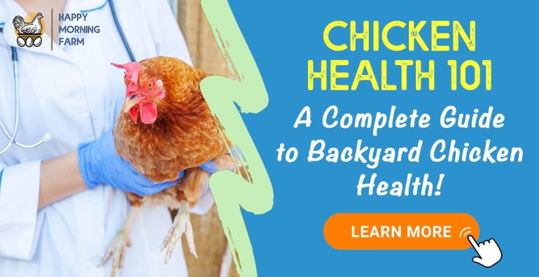 Chicken Poop 101 – A Complete Guide | Happy Morning Farm